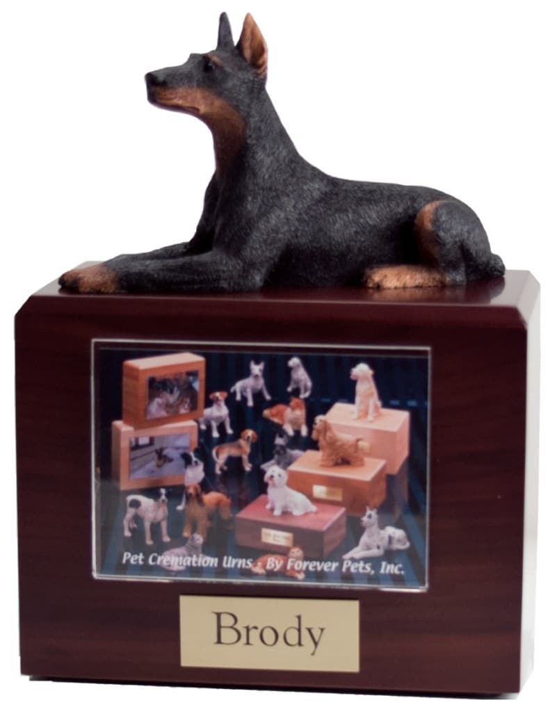 Doberman Pinscher figurine on hardwood cremation urn w/Photo Holder