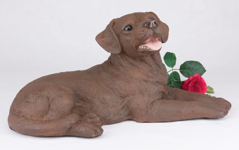 Yellow Lab cremation figurine urn w/wooden storage box