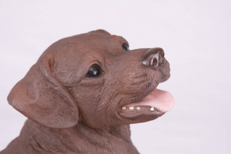 Labrador Retriever, Chocolate dog cremation figurine