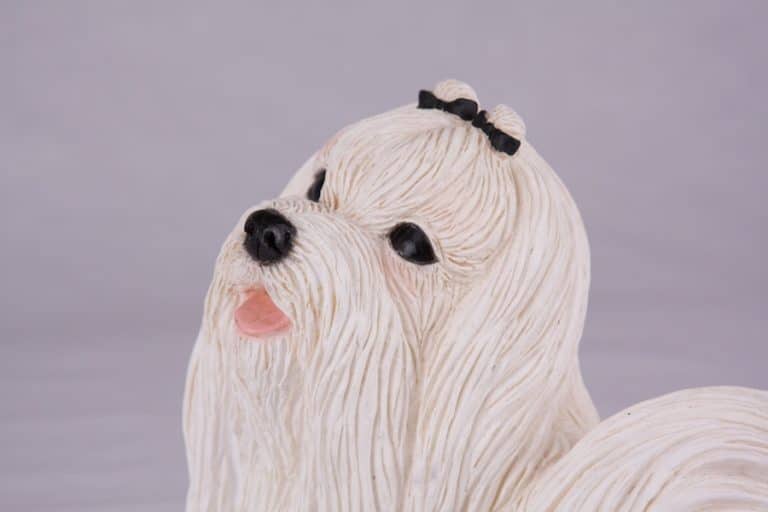 Maltese dog cremation figurine