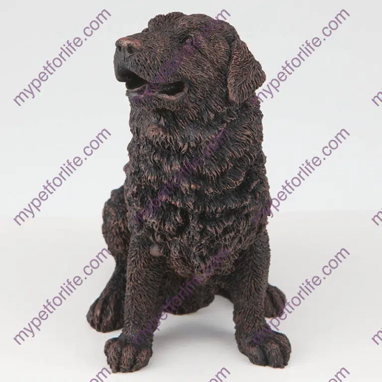 Newfoundland bronze look cremation urn w/wood storage box