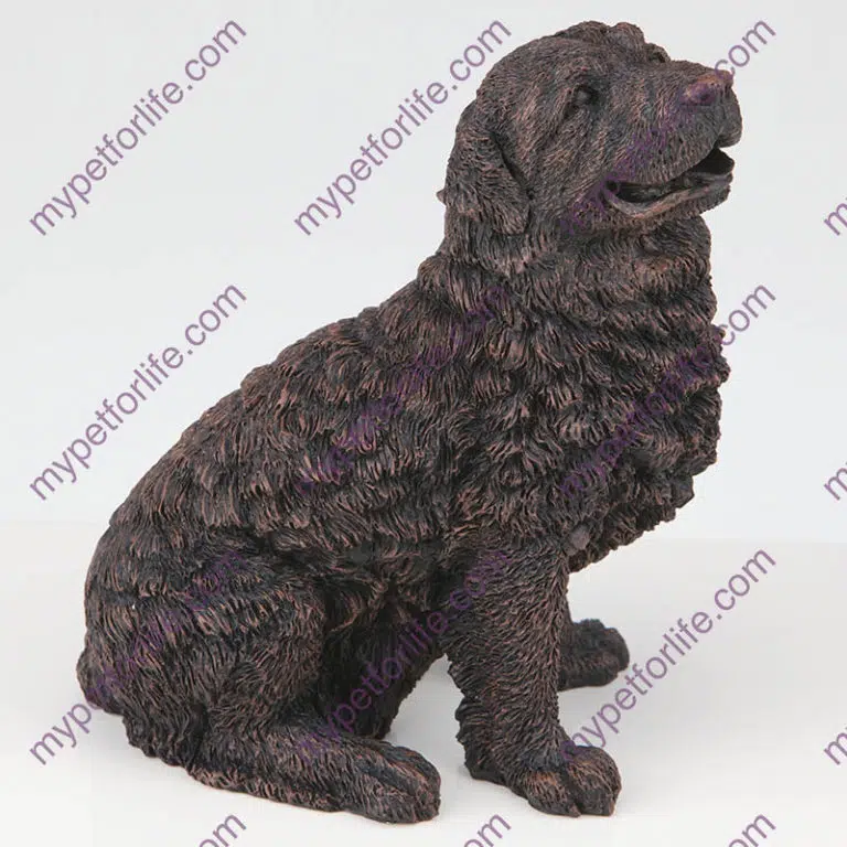 Bronze look Newfoundland cremation figurine urn w/wood storage box