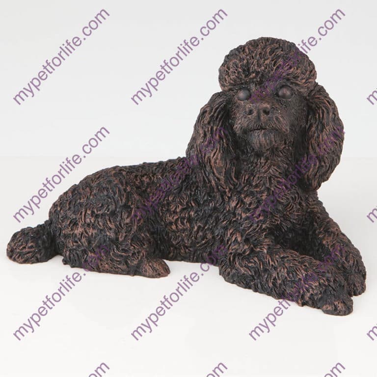 Poodle bronze look cremation urn w/wood storage box
