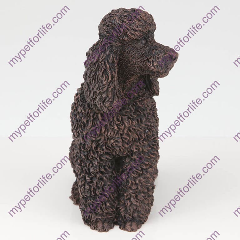 Poodle bronze look cremation urn w/wood storage box