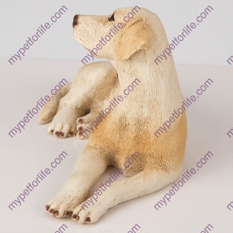 Yellow Lab cremation figurine urn w/wooden storage box