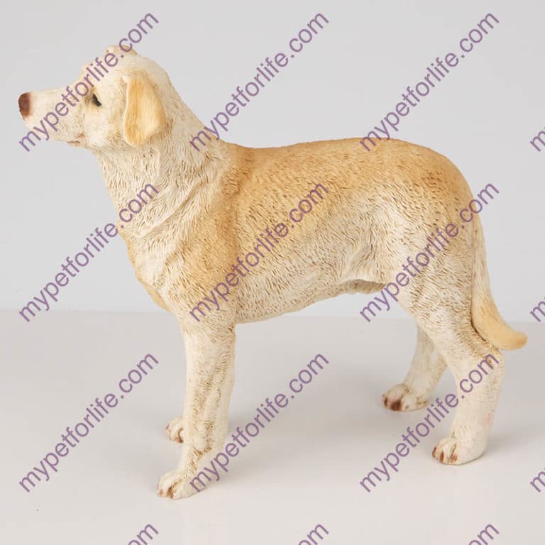 Yellow Lab cremation figurine urn w/wooden storage box