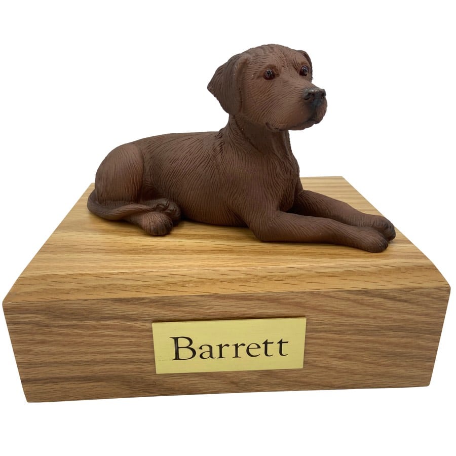 Chocolate Labrador cremation figurine urn w/wooden storage box
