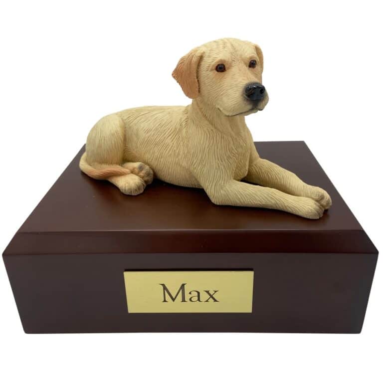 Yellow Lab cremation figurine urn w/wooden storage box